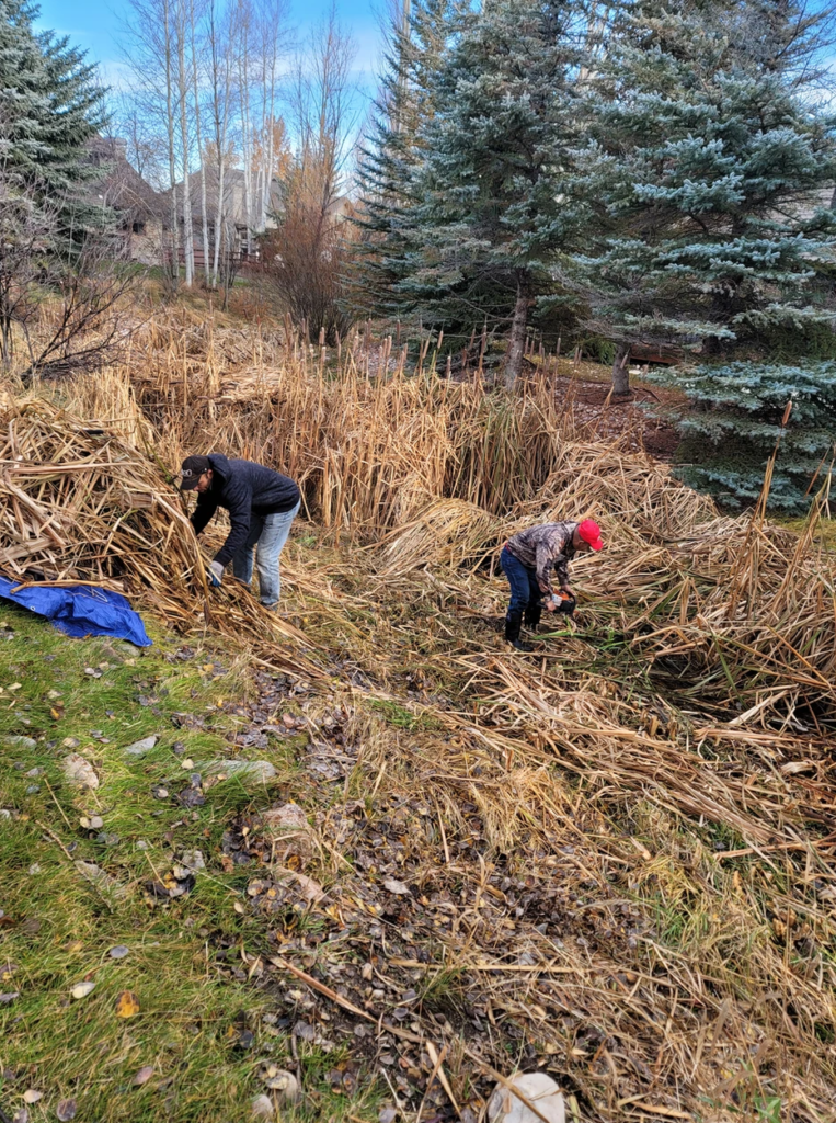 Home - Royalty Lawn Care